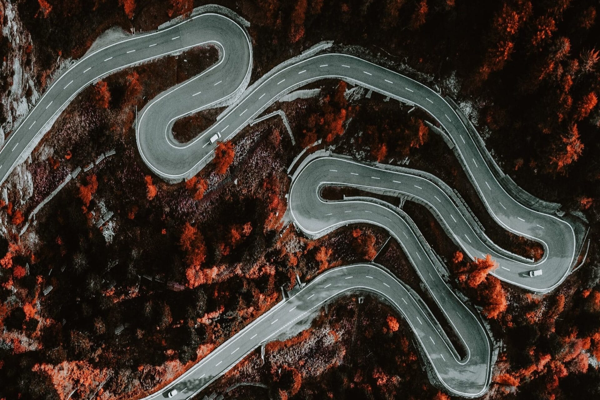 How to Build a Winning Defined Contribution Plan